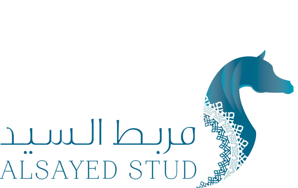 ALSAYED STUD