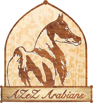 Brochure-Azez arabians